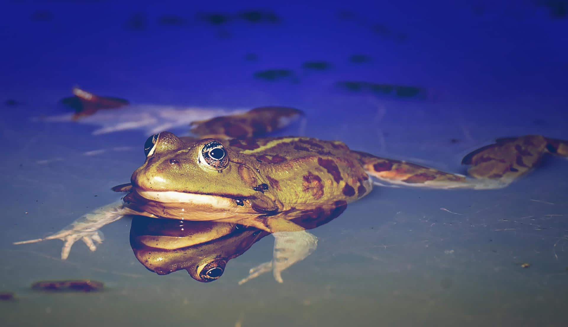 Are you in your comfort zone? - Step Forward Coaching